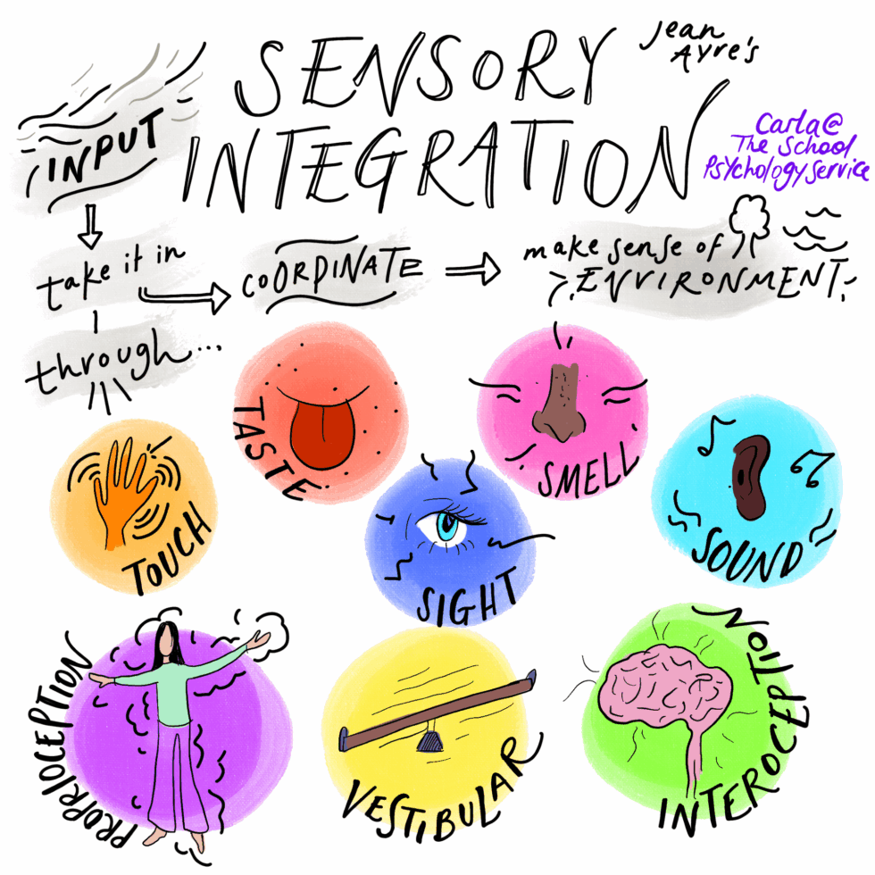 Understanding Sensory Integration: The 8 Senses in Action - The School ...